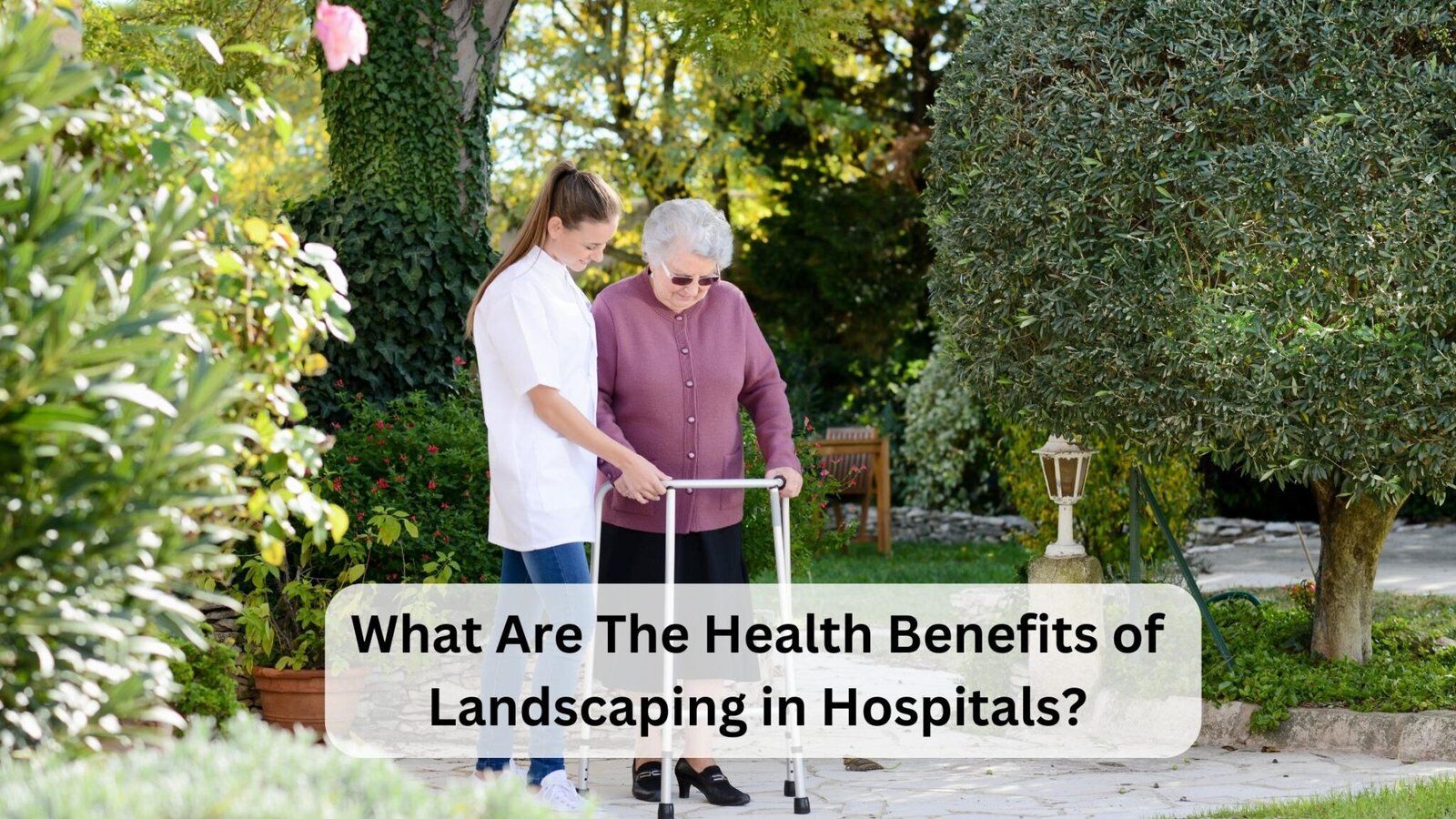 What Is Commercial Landscape Maintenance And Its Benefits